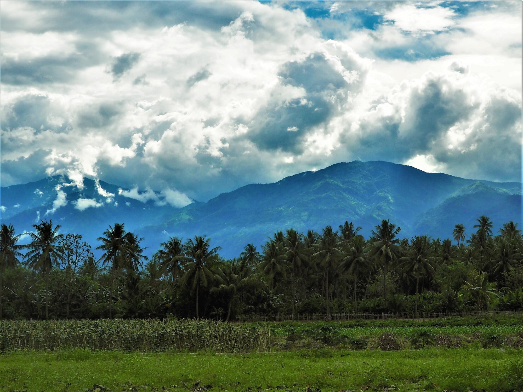 Gallery | Jim & Ginger Moore